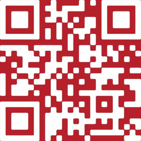 STN Mobile App | Station Casinos